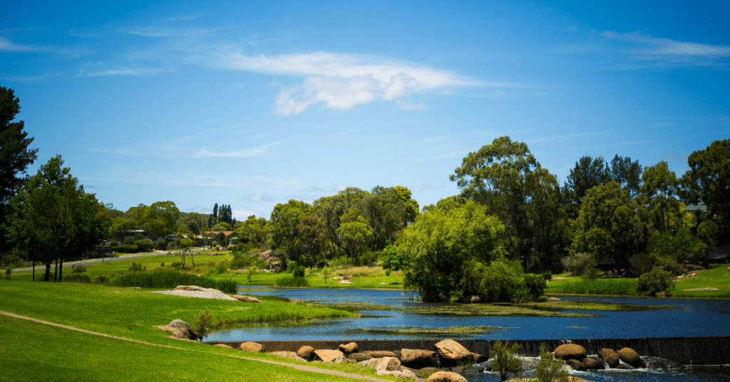 The Stanthorpe Road Trip